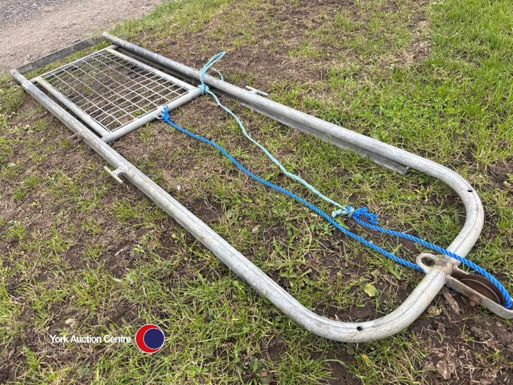 Sheep guillotine gate | York Machinery Sale (hedgers, buckets ...