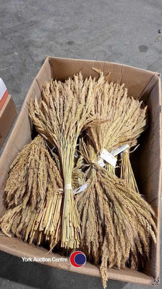 Box of dried grass for flower arranging | January timed online auction ...