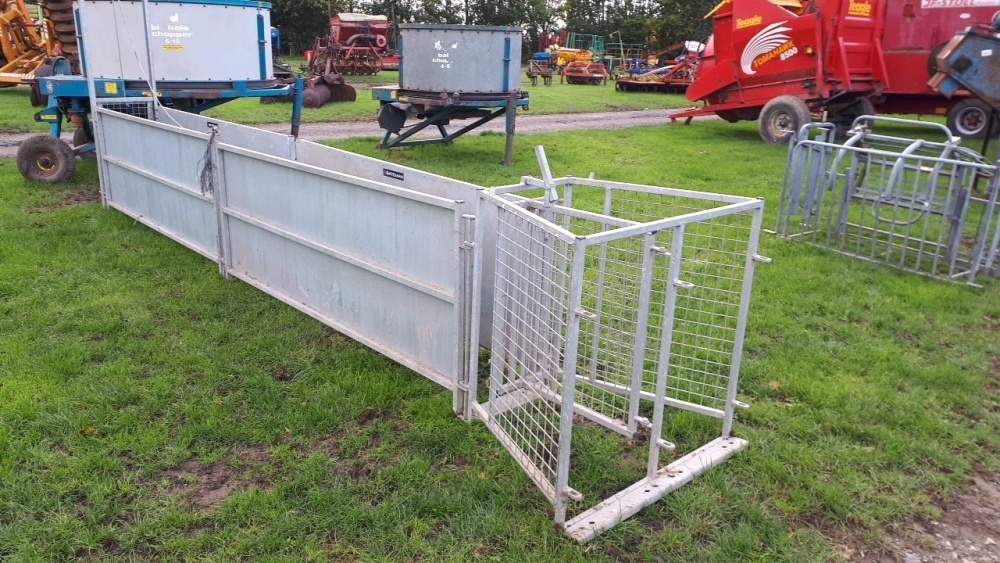 Bateman 16ft sheep race with 2-way shedding gate and guillotine gate ...