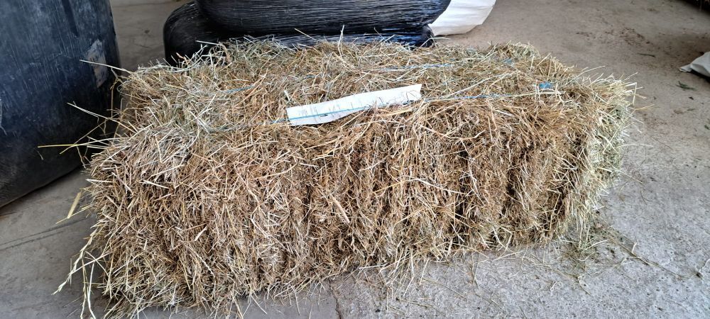 50 x small bales of hay. Collect from YO30 2AS | Produce Auction - Inc ...