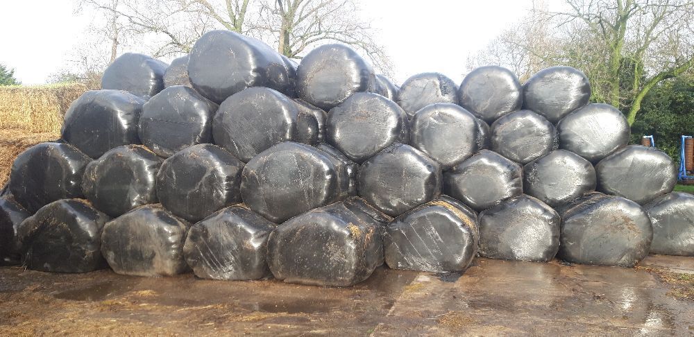 10 x bales of dry silage, 2022 first cut, collect from YO30 2AY ...
