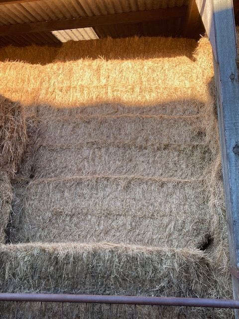 20 X 7ft meadow hay mini hestons, barn stored on pallets, 2022 season ...