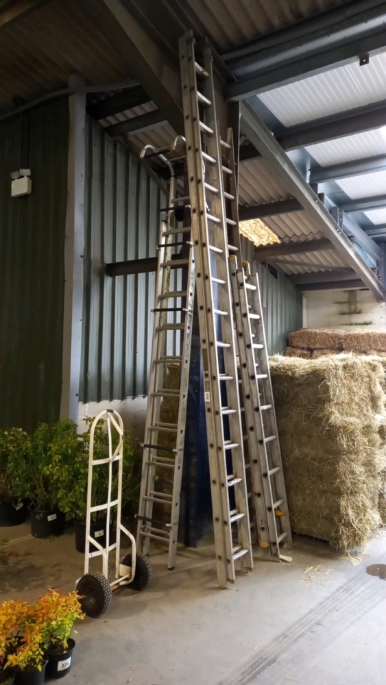 Double section long ladder | York Machinery Sale (Building materials ...