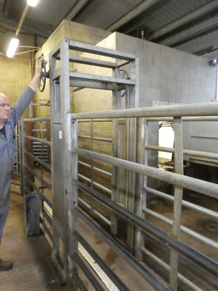 Bateman cattle back stop, pulley operated | J & B Fitton Ltd ...