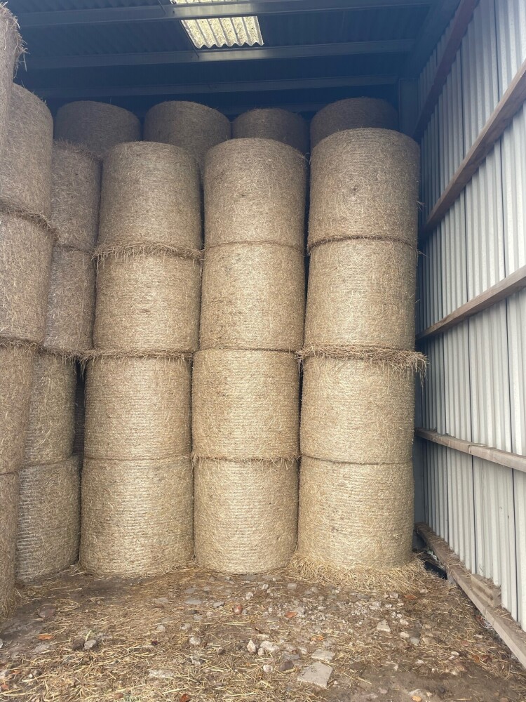 24 x Round bales of Barley straw, approx 4ft, collection from LS24 ...