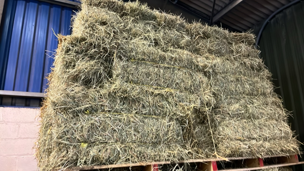 20 x early cut ings hay bales, collection from York Auction Centre ...